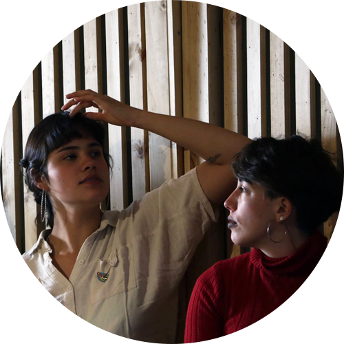 Where We Work - Ipas