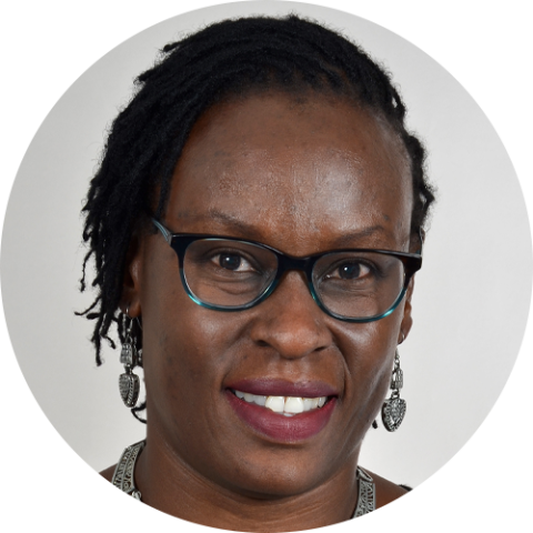 Harms of overturning Roe will circle the globe - Ipas