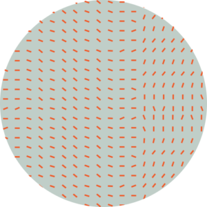 Our Leadership - Ipas