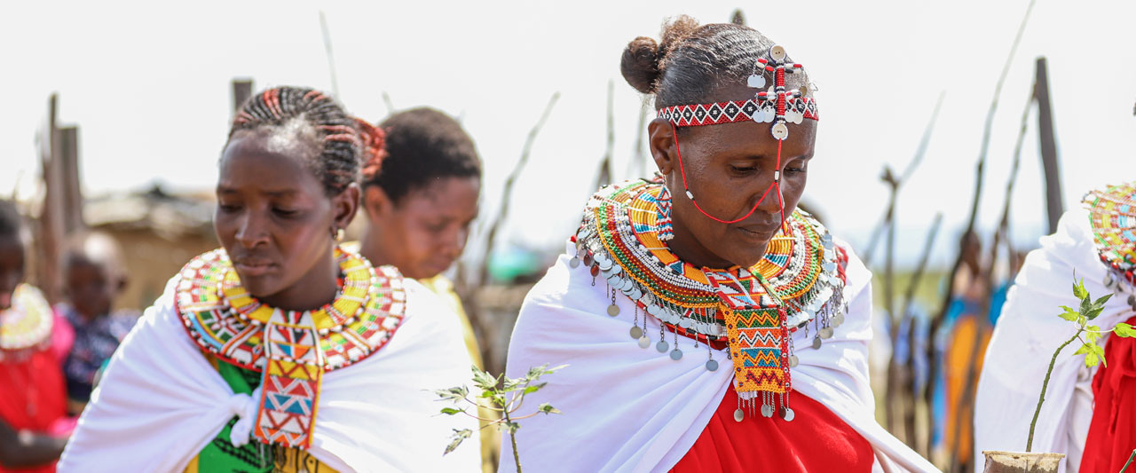 Grantee spotlight - Ipas