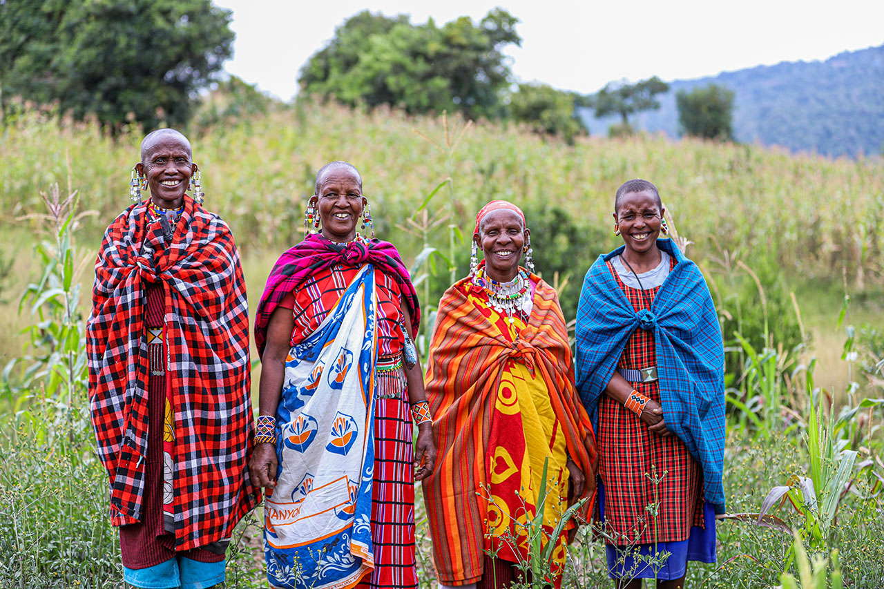 Ipas Collaborative Fund - Ipas