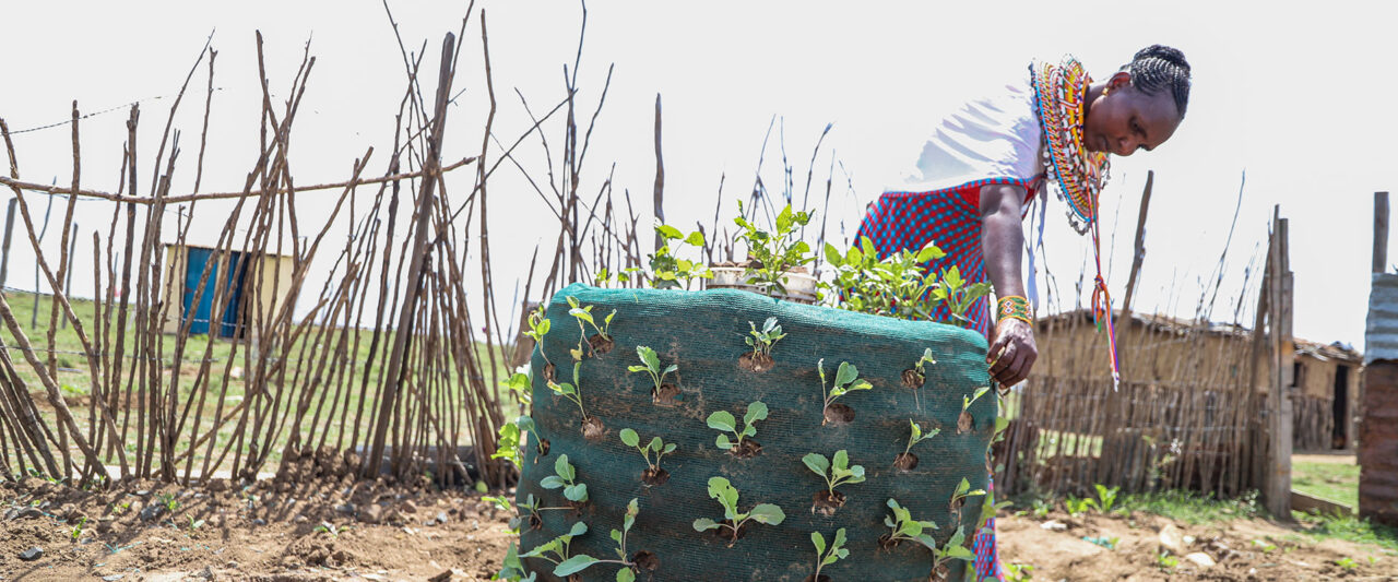 Ipas research in Kenya reveals how the climate crisis undermines ...