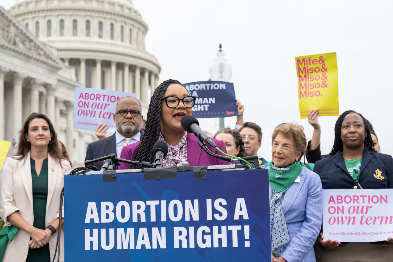 Our impact in 2024 - Ipas